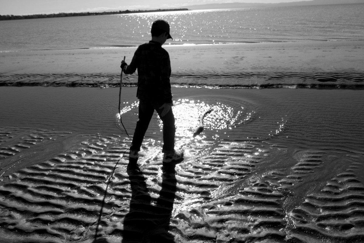 A haiku for true freedom | Life With Horace